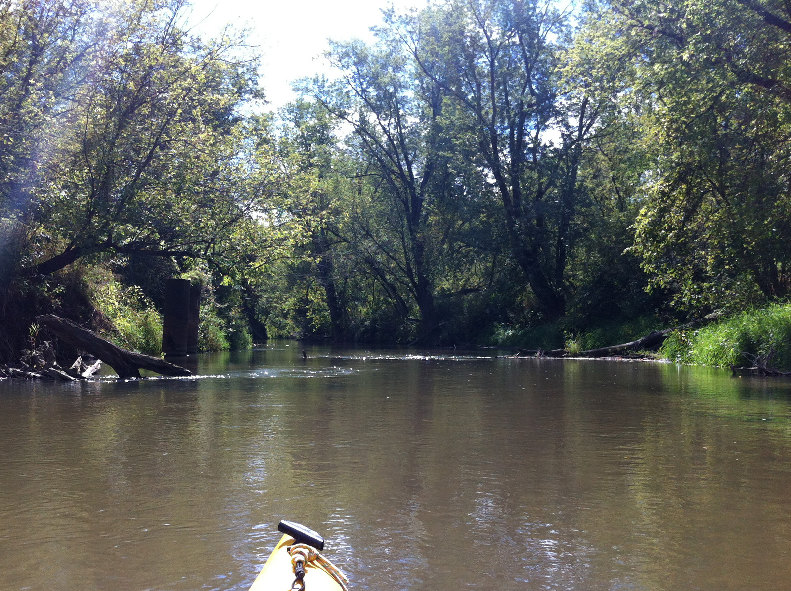 Kickapoo River II - Miles Paddled