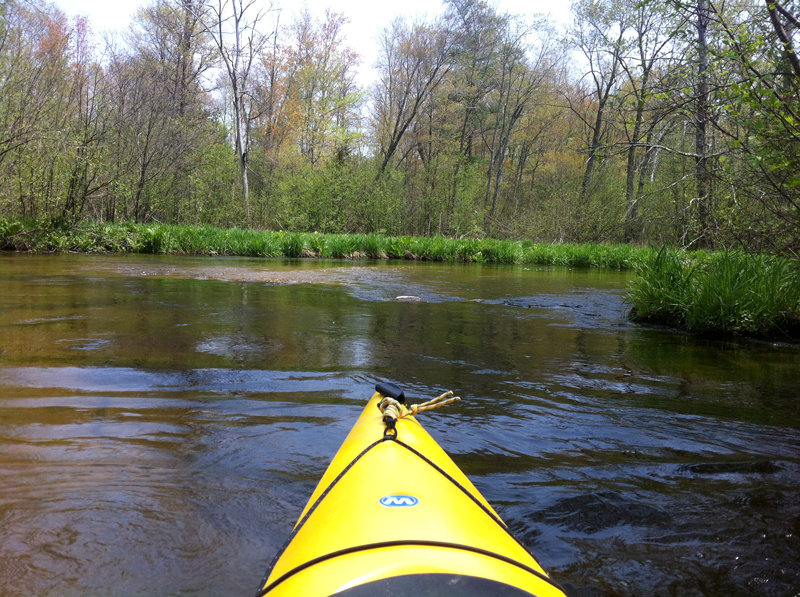 Mecan River I - Miles Paddled