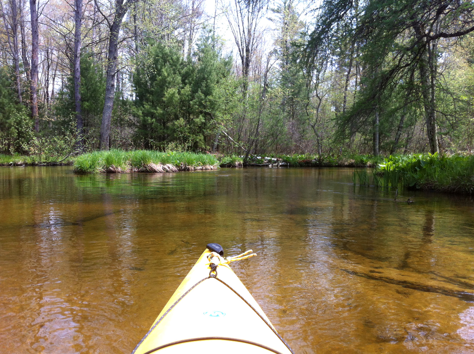 Mecan River I - Miles Paddled