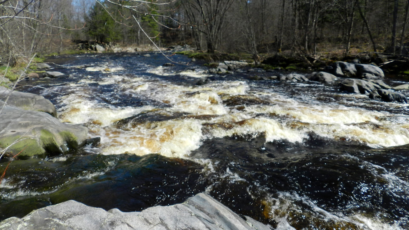 Big Rib River I - Miles Paddled
