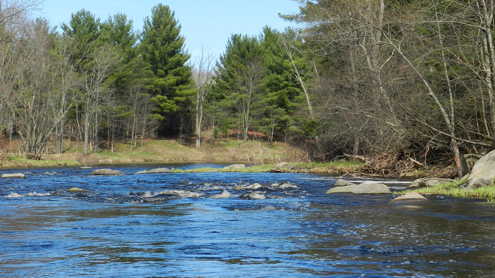 Big Rib River I - Miles Paddled