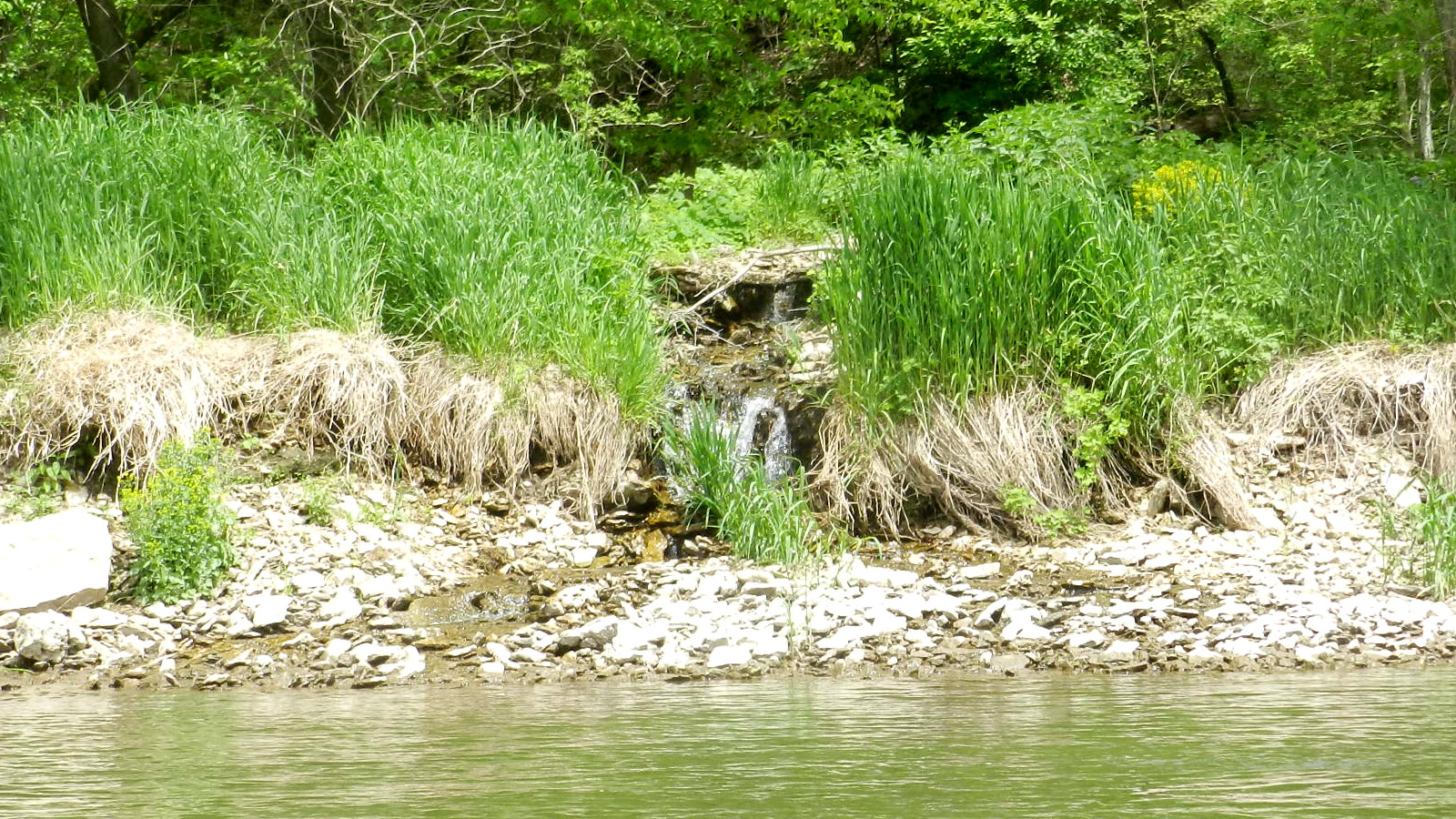 Upper Iowa River II - Miles Paddled