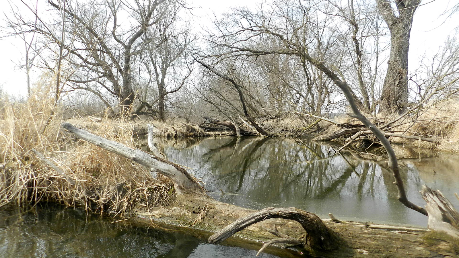 Maunesha River IV - Miles Paddled