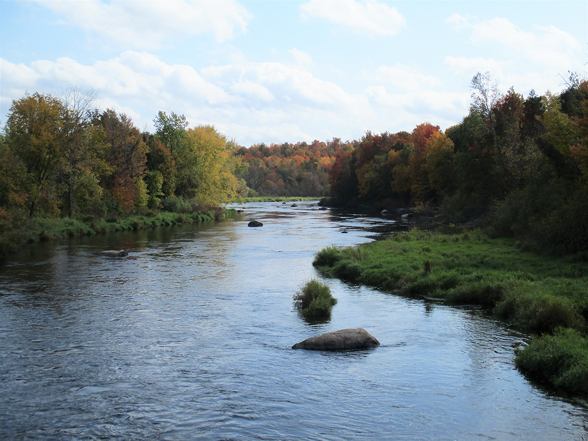 Wolf River I - Miles Paddled