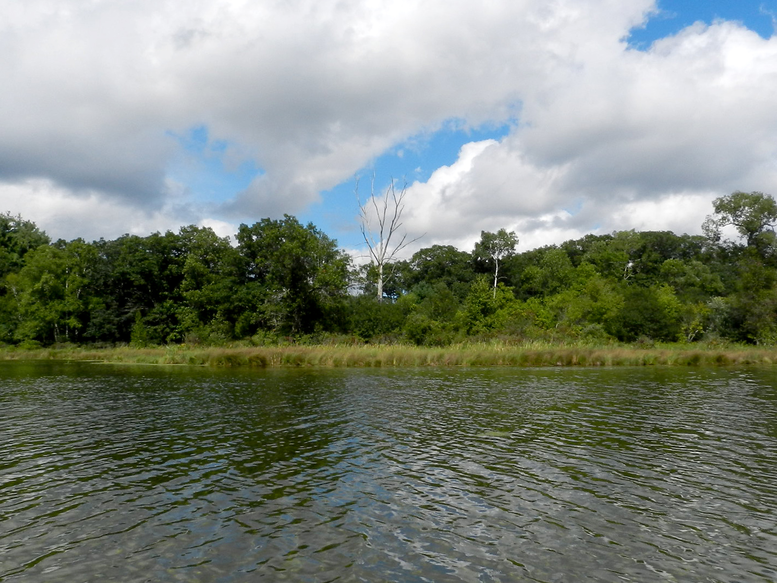 Mecan River III - Miles Paddled