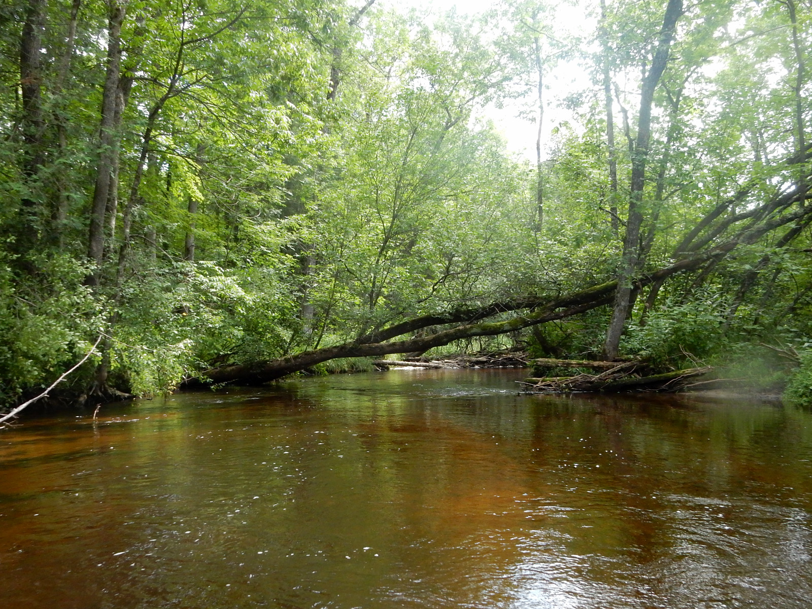 Little Wolf River II – Miles Paddled