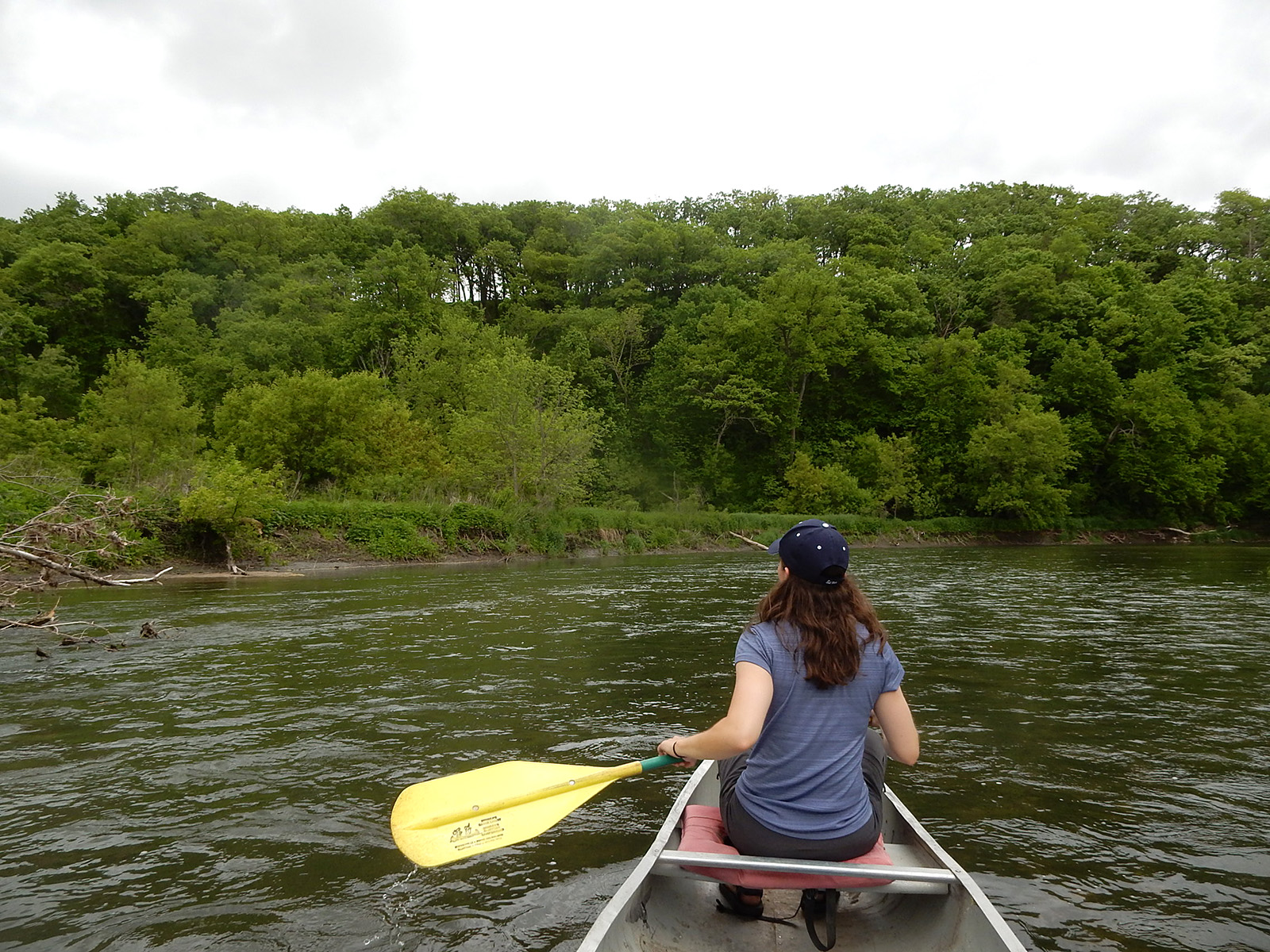 Upper Iowa River I - Miles Paddled