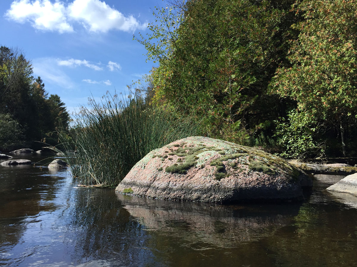 Plover River II - Miles Paddled