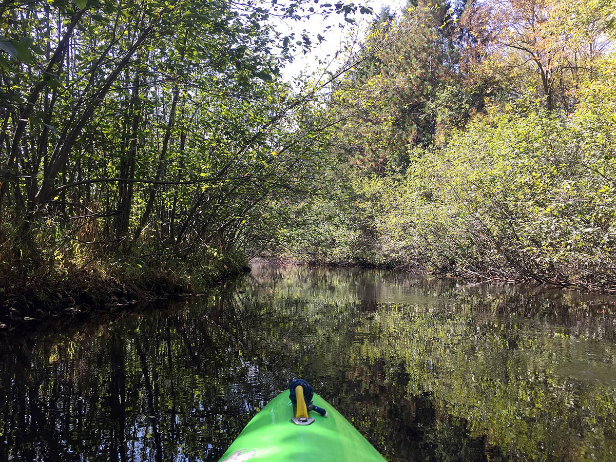 Plover River II - Miles Paddled