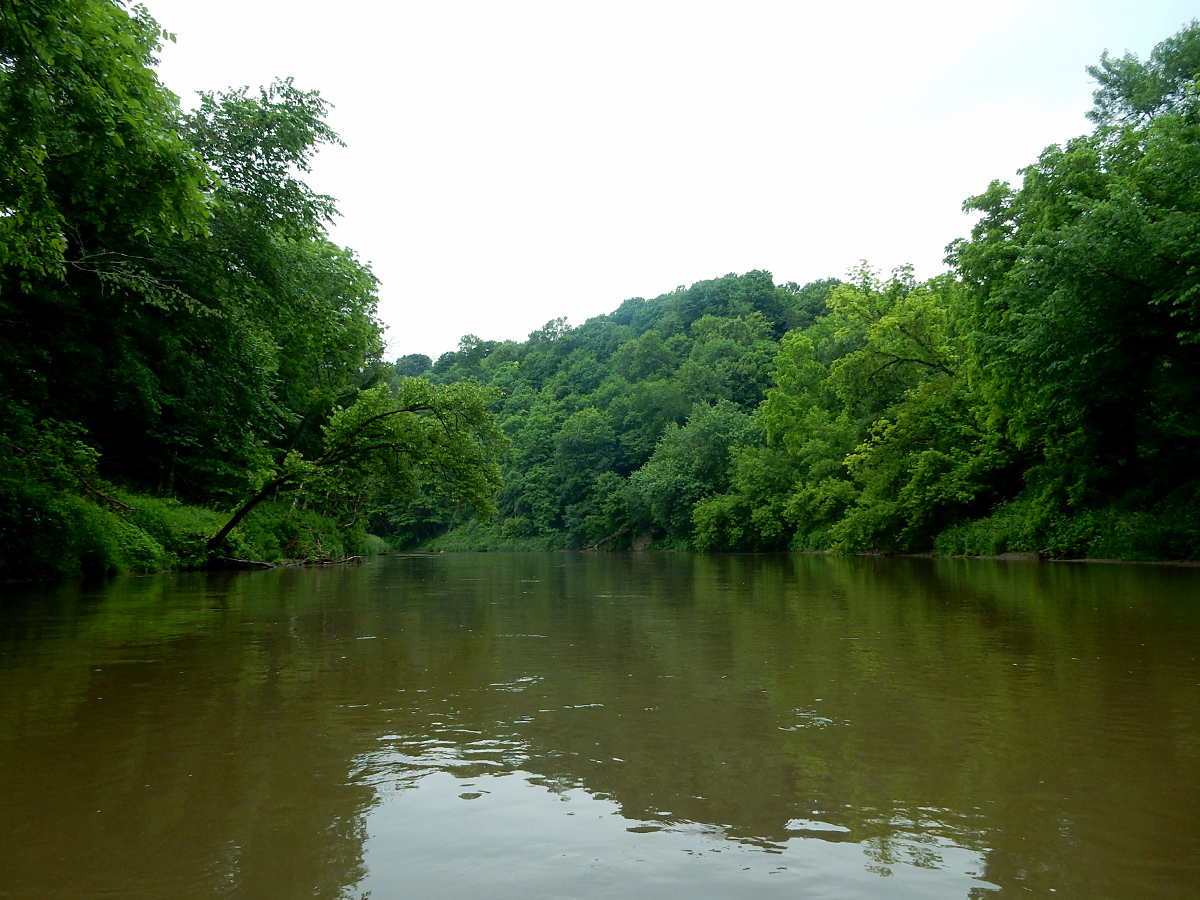 Maquoketa River: North Fork I - Miles Paddled