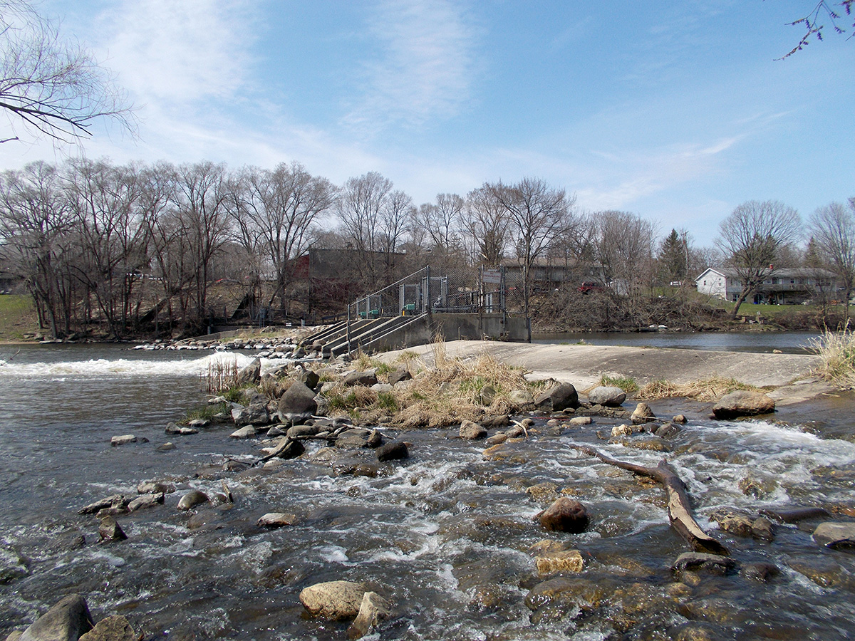 Fox River II - Miles Paddled