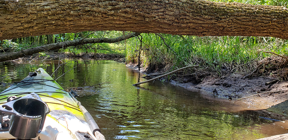 Kewaunee River - Miles Paddled