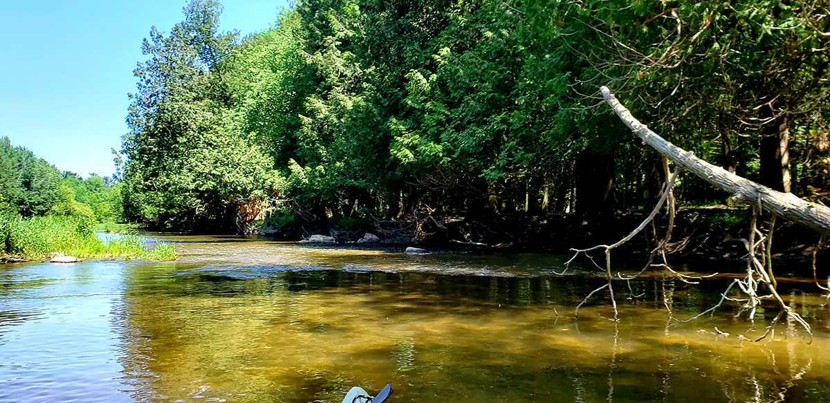 Kewaunee River | Miles Paddled