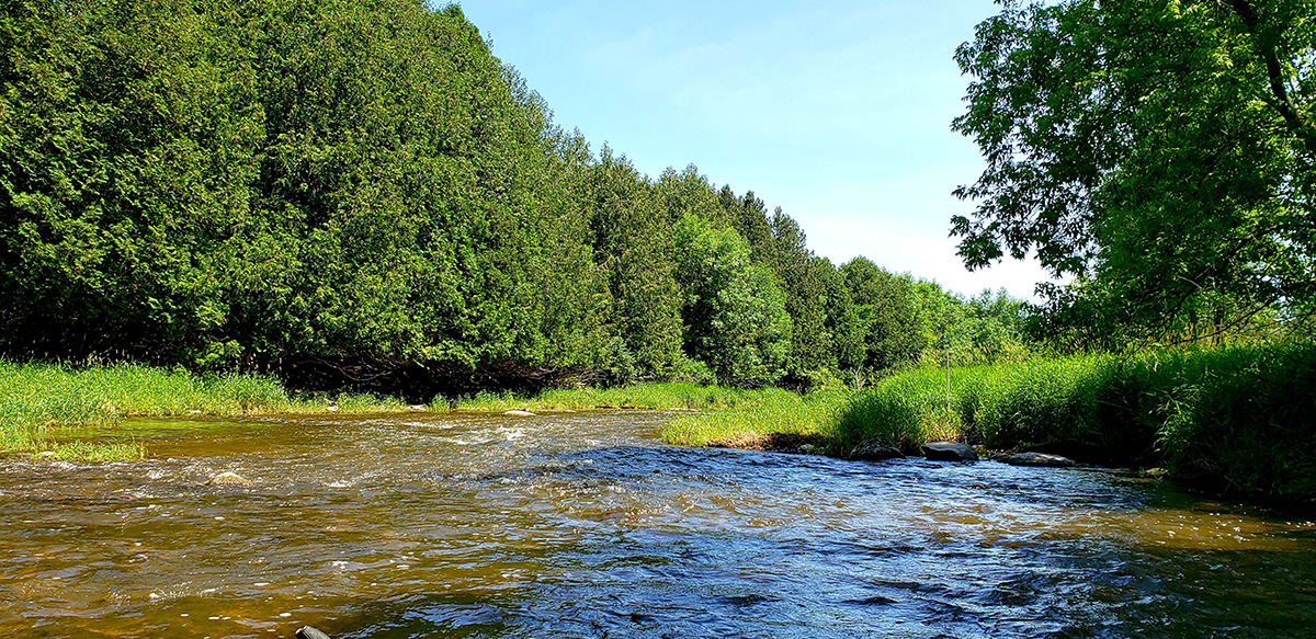 Kewaunee River | Miles Paddled