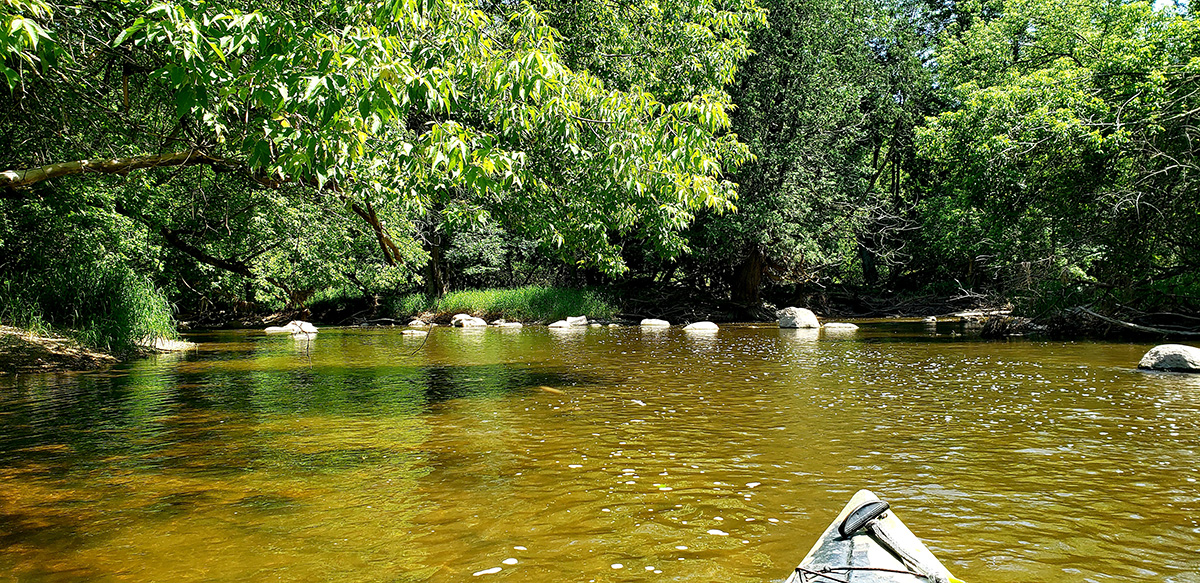 Kewaunee River | Miles Paddled