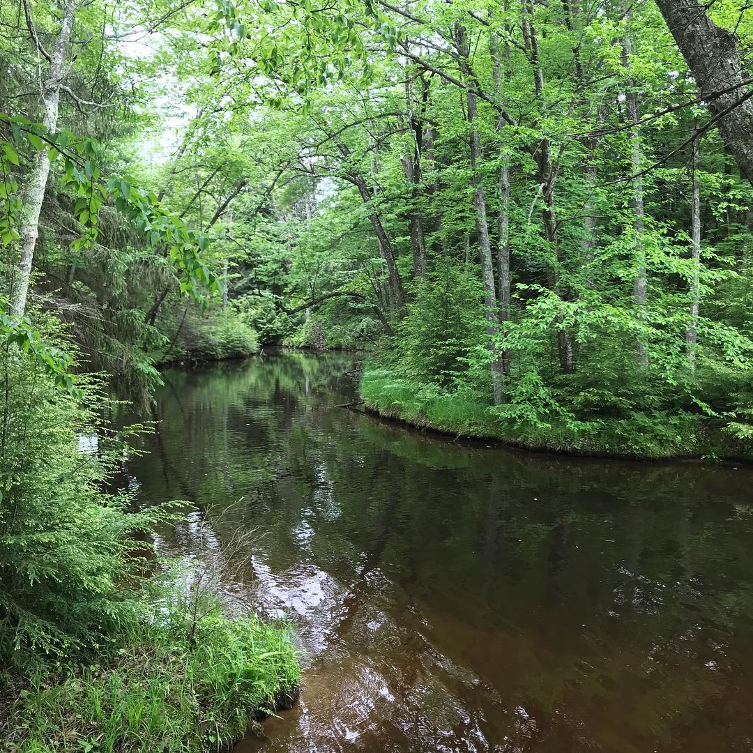 Canoe & Kayak Camping Wisconsin: Brunet Island State Park – Miles Paddled