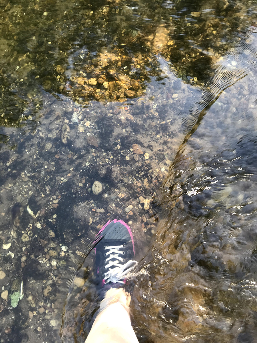 Yahara River I | Miles Paddled