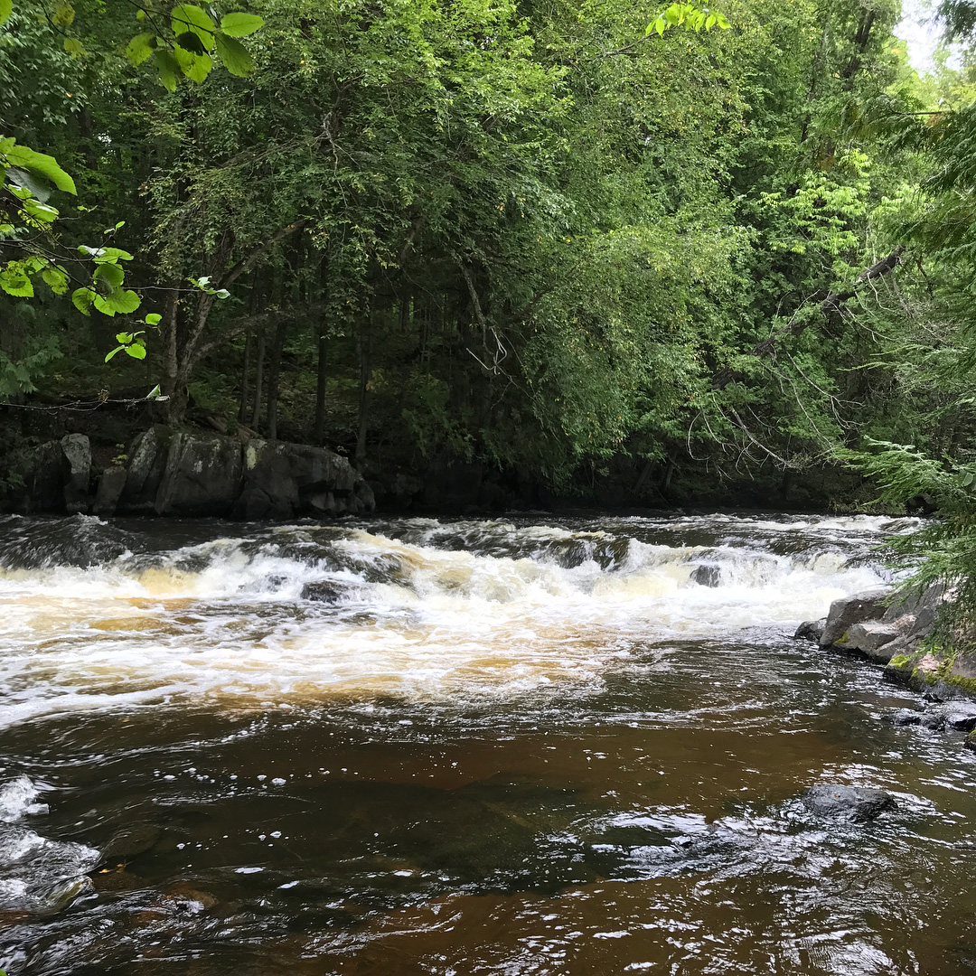 Canoe & Kayak Camping Wisconsin: North Branch of the Oconto River ...