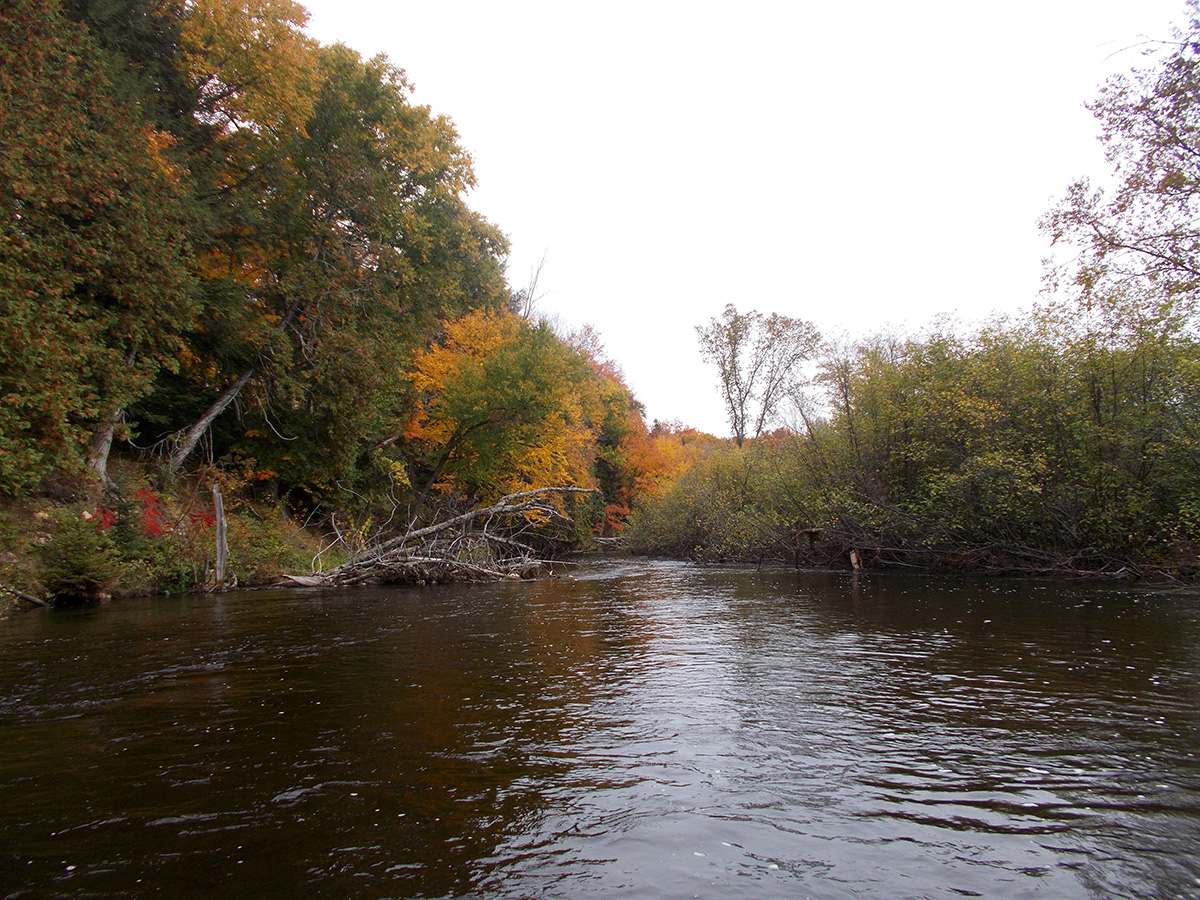 Wolf River II - Miles Paddled