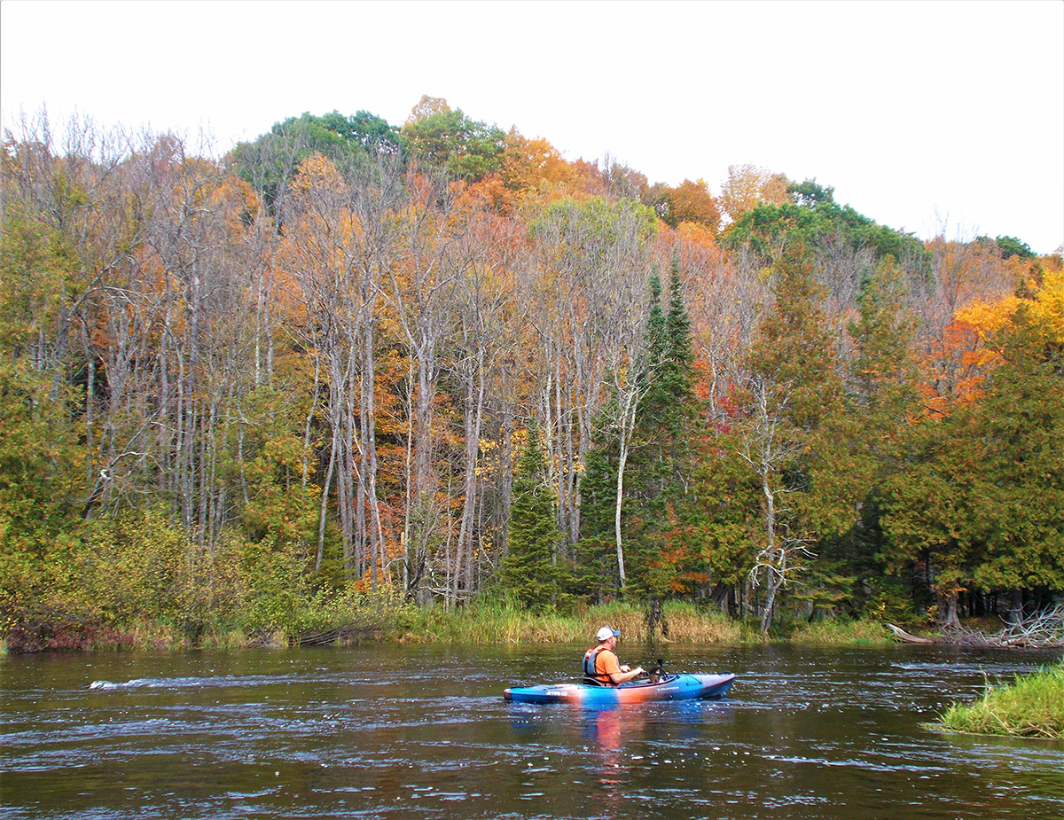 Wolf River II - Miles Paddled