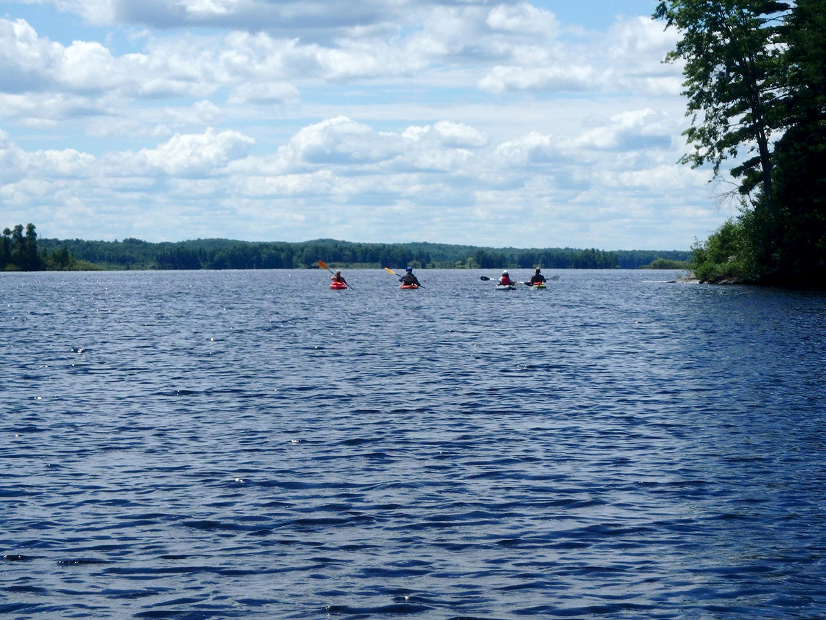 Canoe & Kayak Camping Wisconsin: Turtle-Flambeau Flowage - Miles Paddled