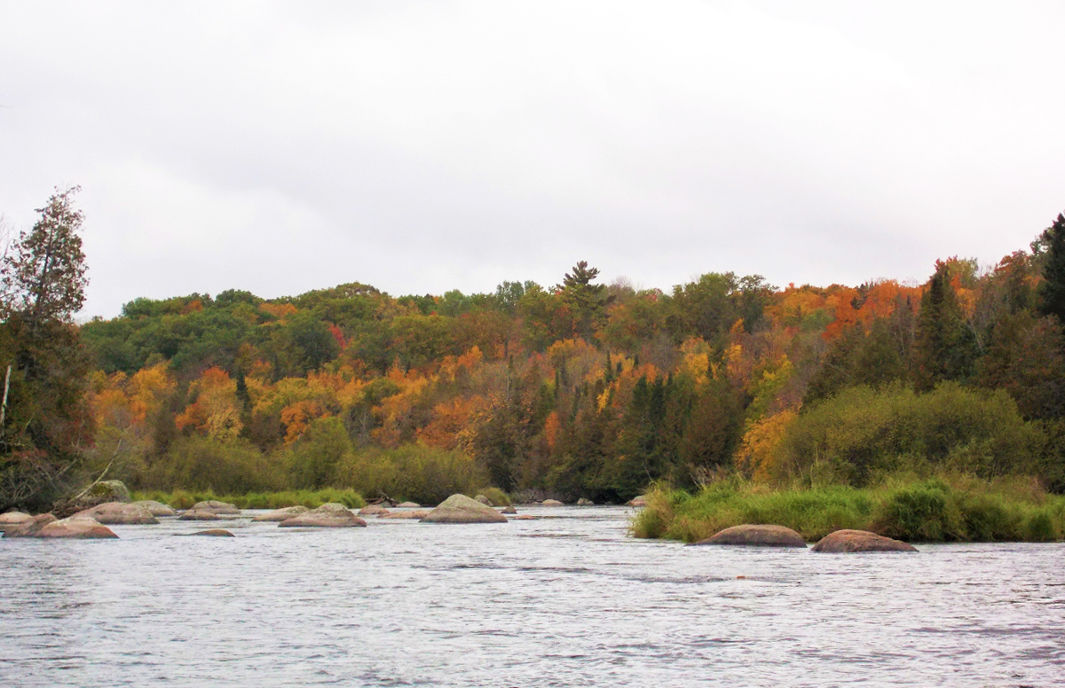 Wolf River III - Miles Paddled