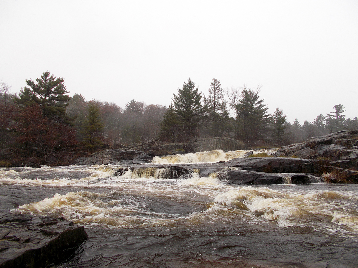 Eau Claire River III (Eau Claire County) - Miles Paddled