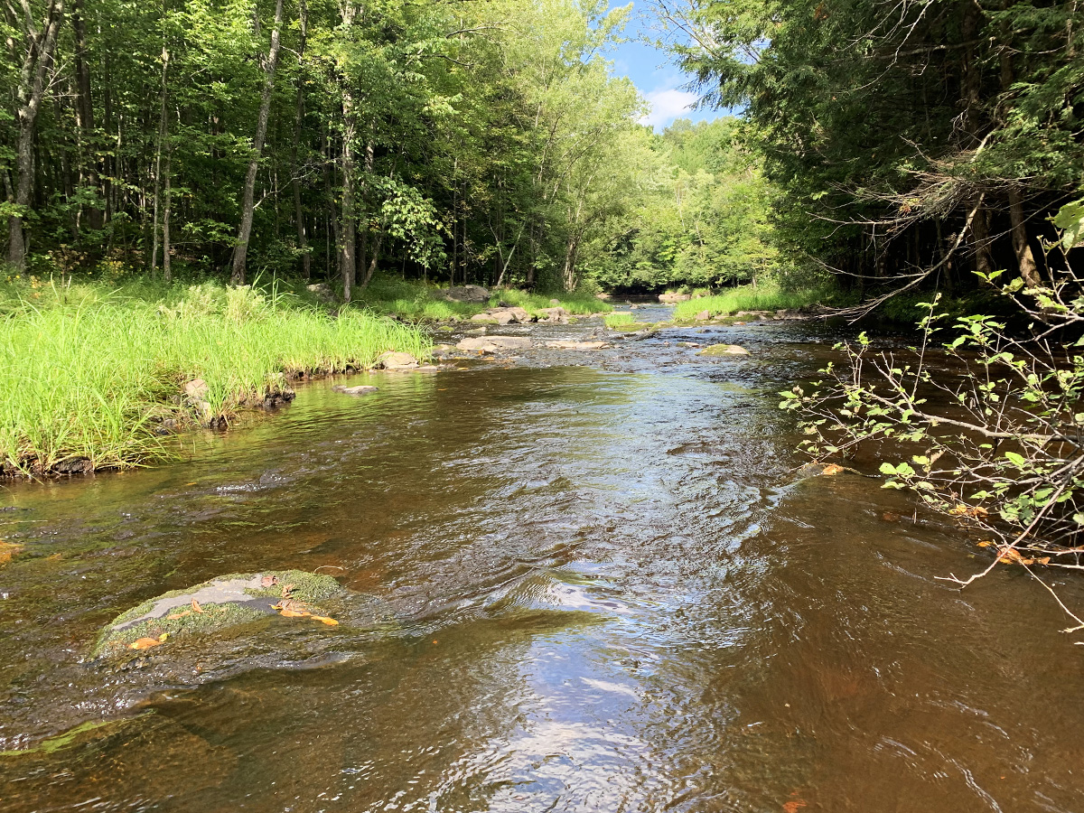 Fisher River - Miles Paddled