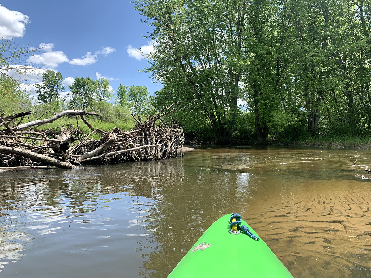Kishwaukee River II - Miles Paddled