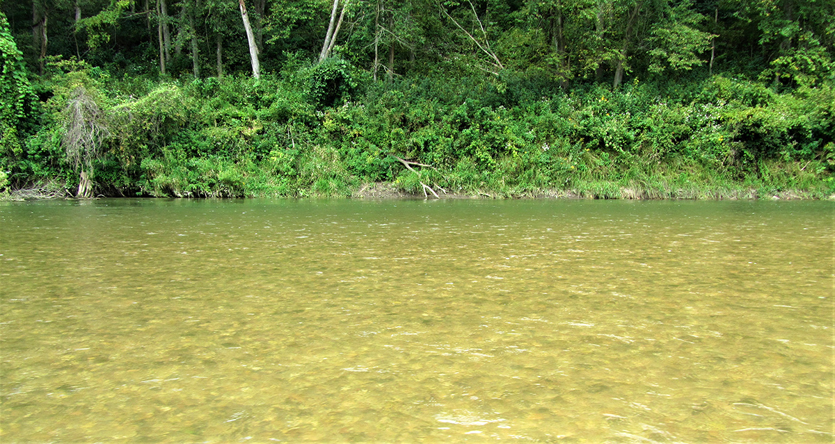 Root River - Miles Paddled