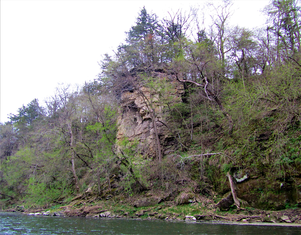 Root River: North Branch - Miles Paddled