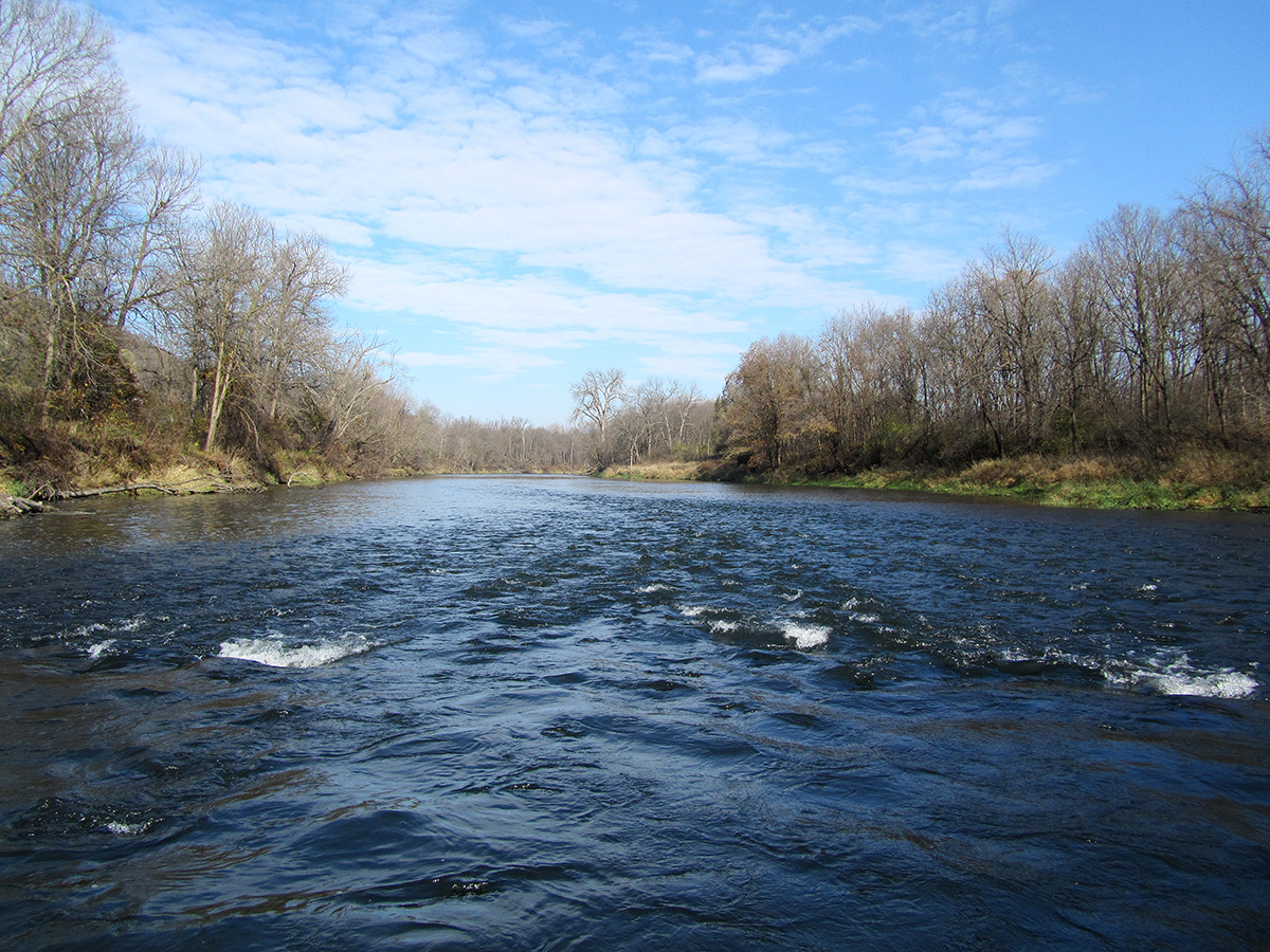 Zumbro River I - Miles Paddled