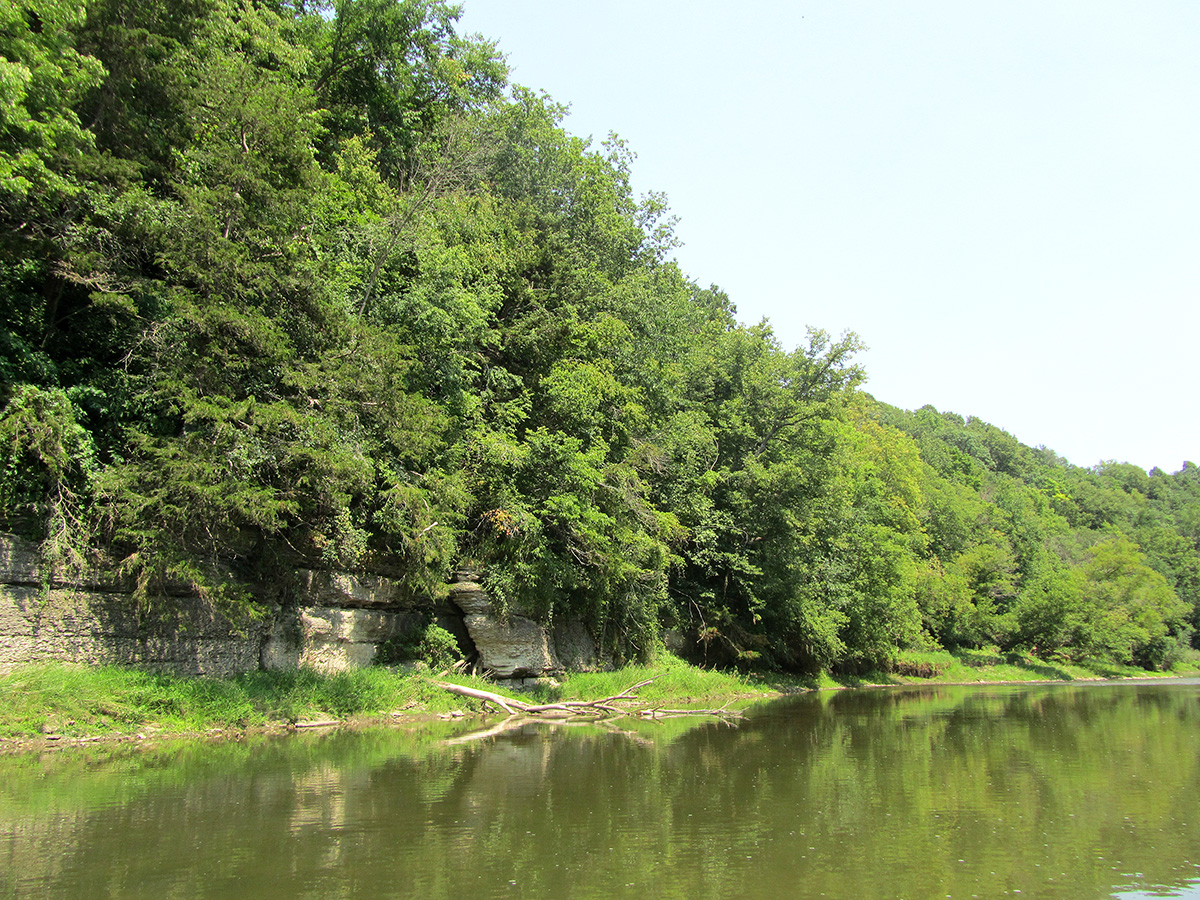 Upper Iowa River I - Miles Paddled