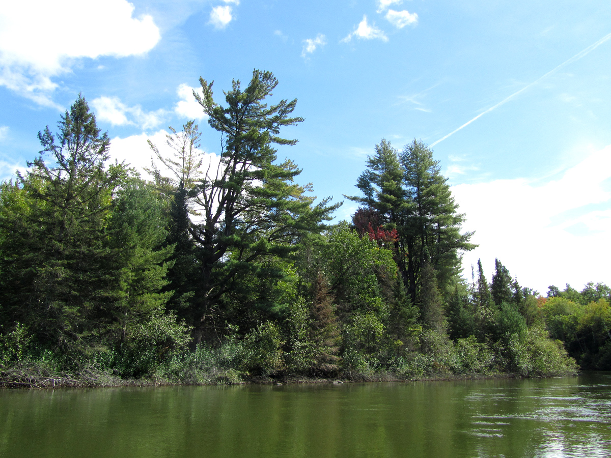 Wisconsin River XXI - Miles Paddled