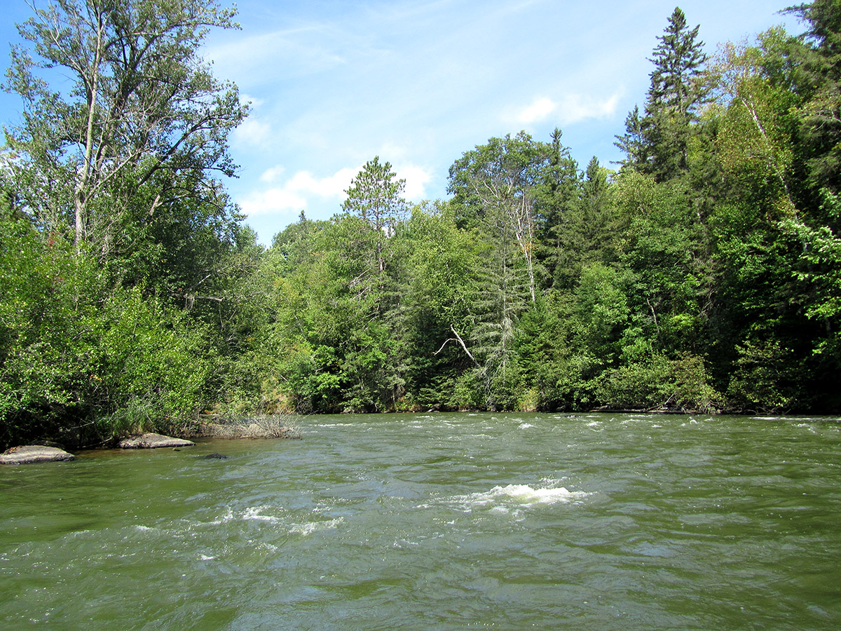 Wisconsin River XXI - Miles Paddled